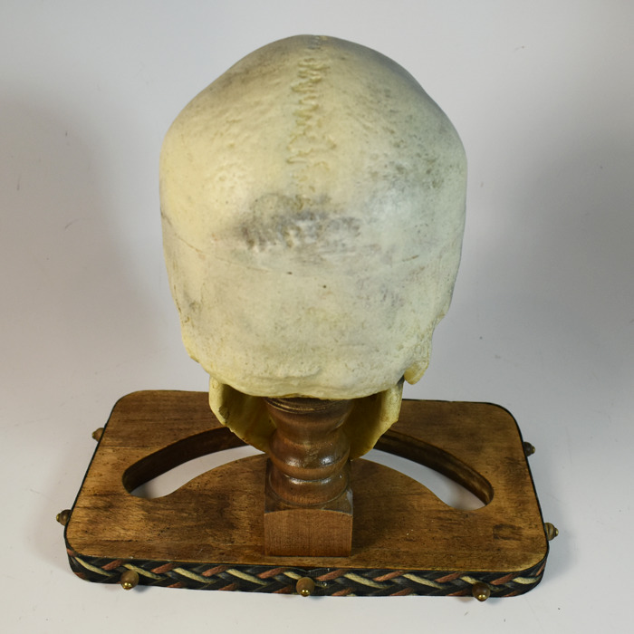 Mechanical Talking Skull | Magic Collectibles